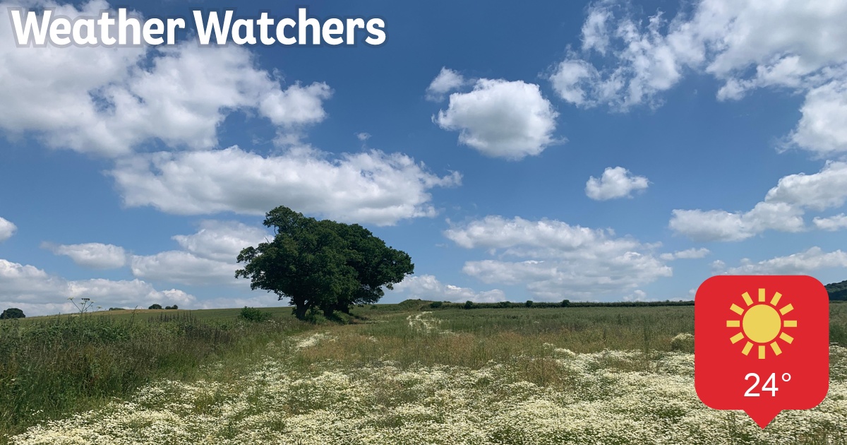 Report - BBC Weather Watchers