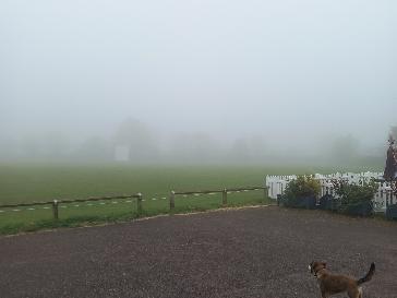 Hatfield - BBC Weather