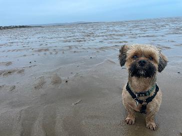 Widnes - BBC Weather