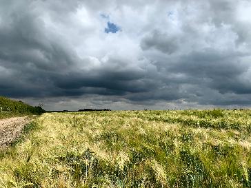 Wokingham - BBC Weather