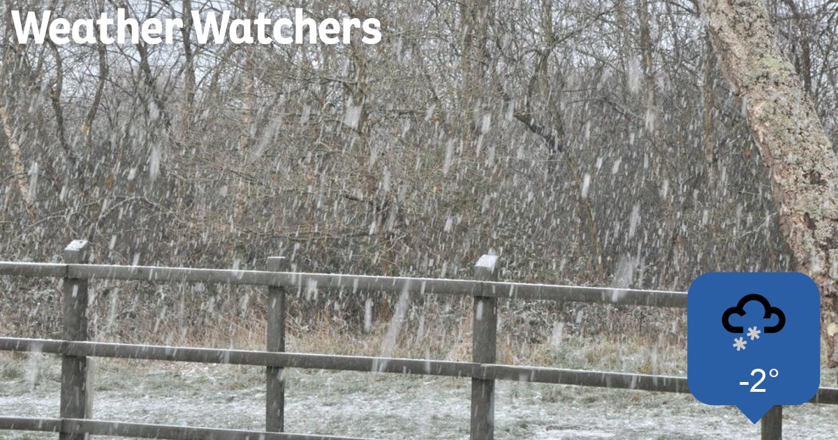 Report - BBC Weather Watchers