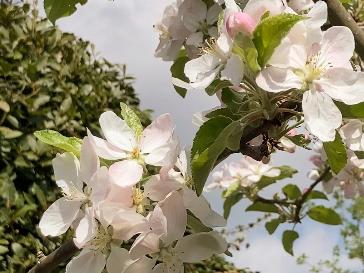 Worcester - BBC Weather