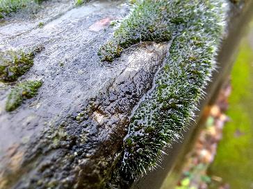 Wolverhampton Airport - BBC Weather