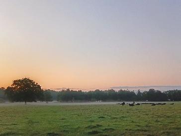 Swindon - BBC Weather