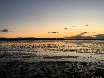 Dundee - BBC Weather