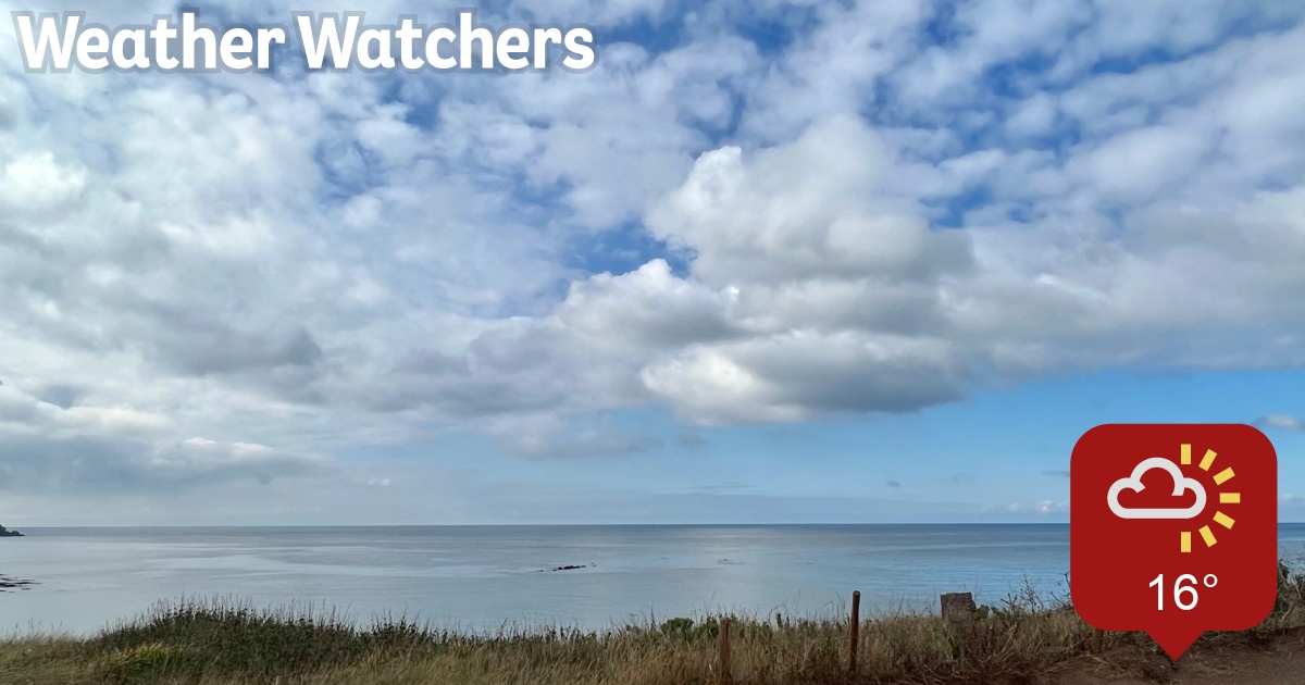Report - BBC Weather Watchers