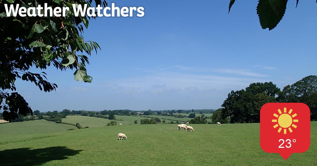Report - BBC Weather Watchers