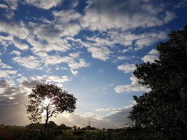 Colchester - BBC Weather