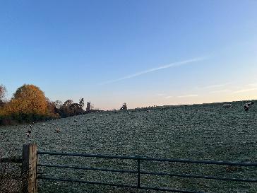 Trowbridge - BBC Weather