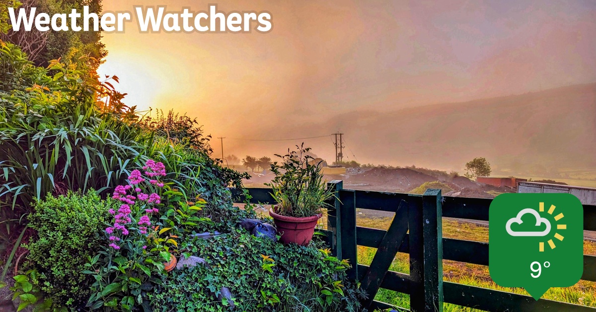 Report - BBC Weather Watchers