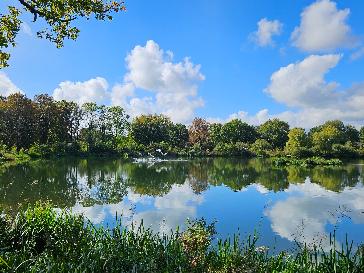 Cardiff - BBC Weather
