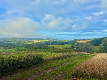 Swindon Village - BBC Weather