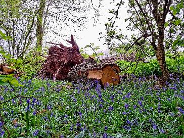 Coventry - BBC Weather