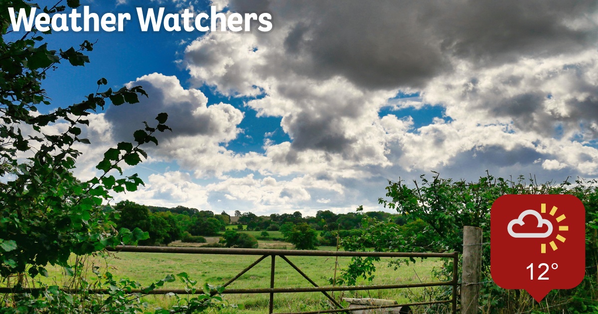Report - BBC Weather Watchers