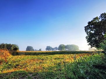 Arbroath - BBC Weather