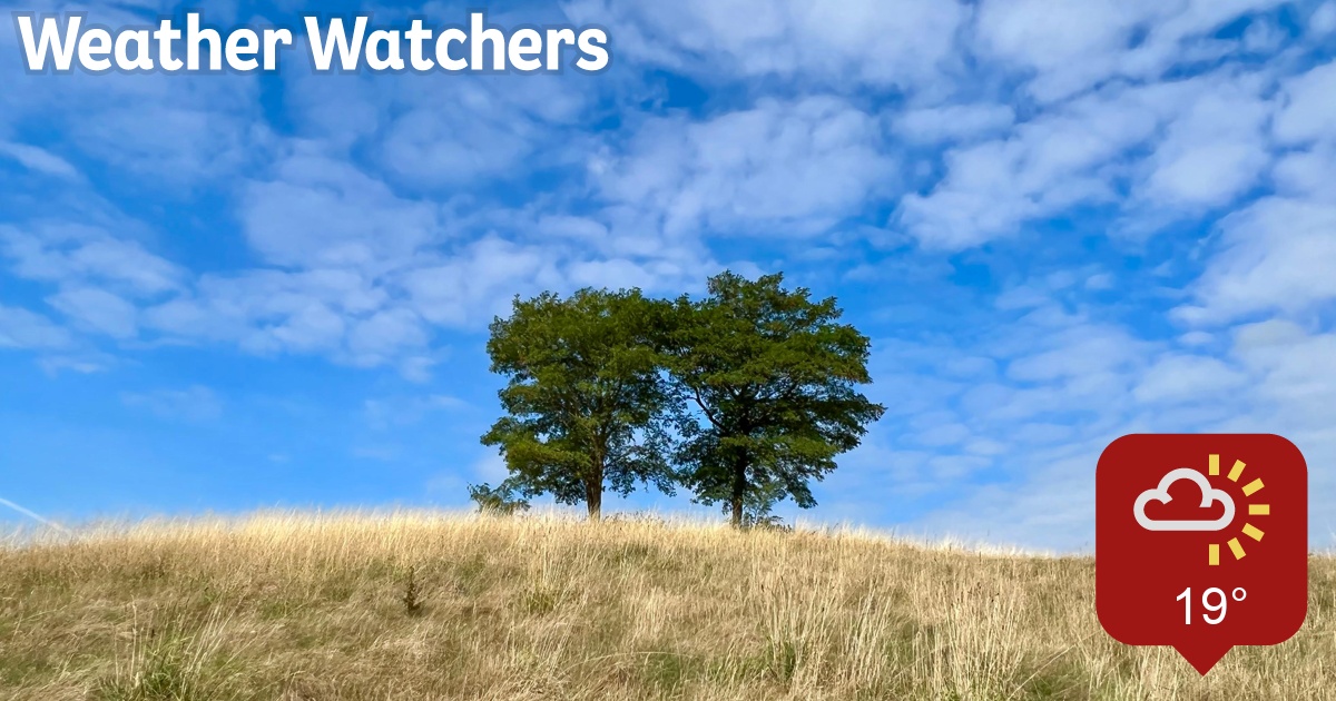Report - BBC Weather Watchers