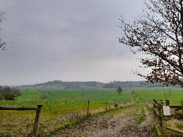 Bournemouth - BBC Weather