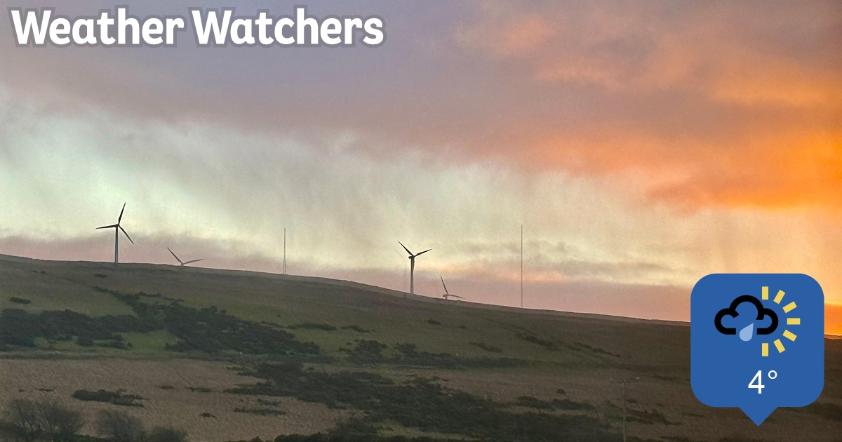 Report - BBC Weather Watchers
