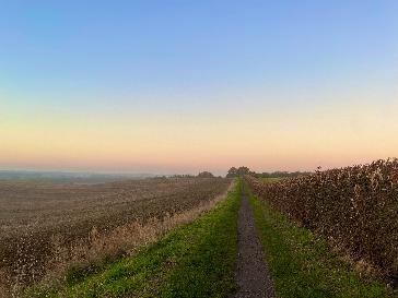 Broxbourne - BBC Weather