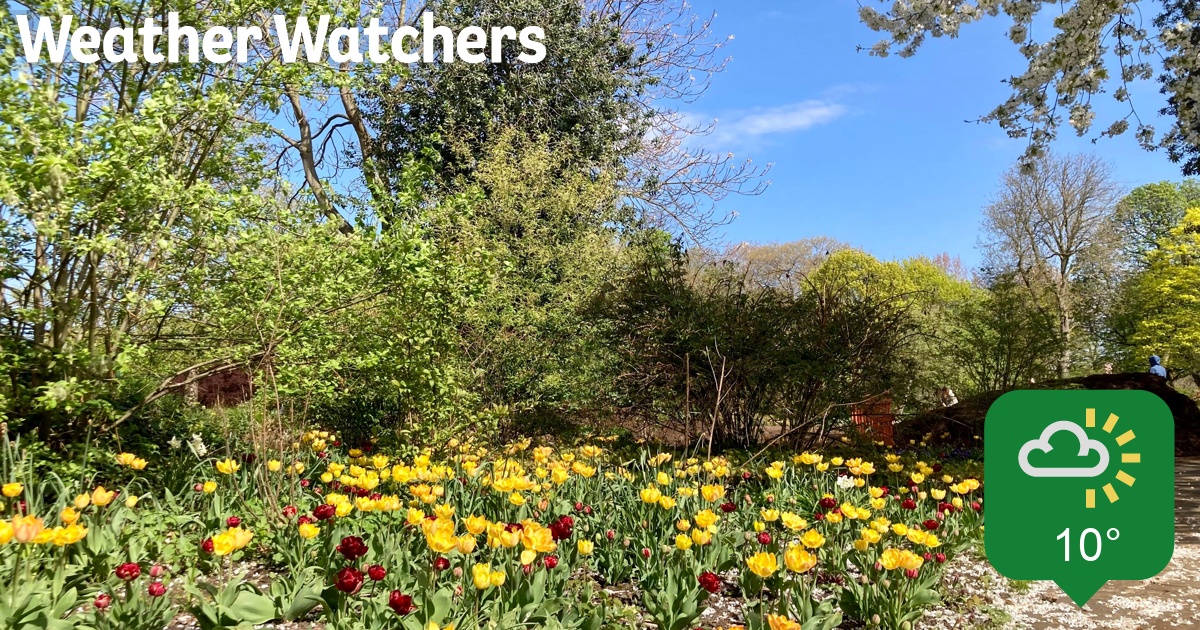 Report - BBC Weather Watchers