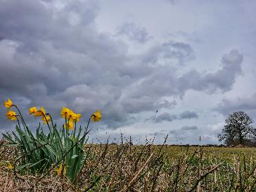 Stockbridge - BBC Weather
