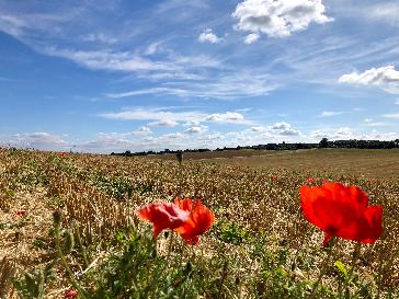 Lincoln - BBC Weather