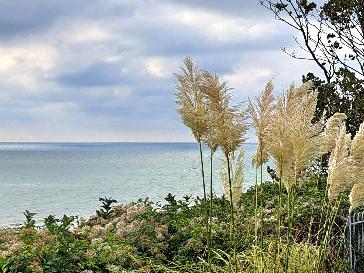 Worthing - BBC Weather