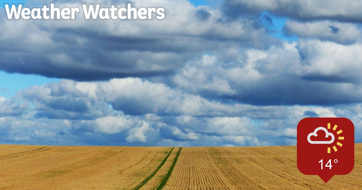 Report - BBC Weather Watchers