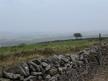 Fishburn - BBC Weather