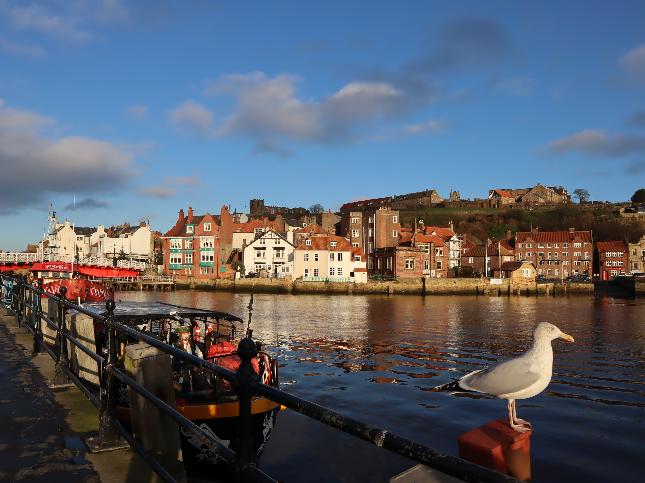 Report - BBC Weather Watchers