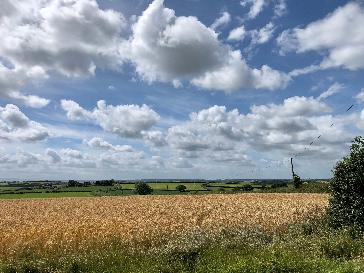 Torquay - BBC Weather
