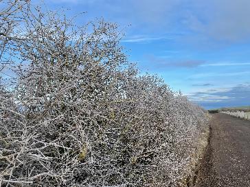 Mullion - BBC Weather