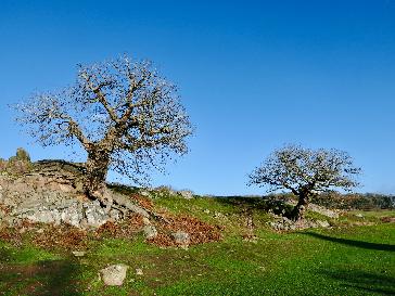 Hinckley - BBC Weather