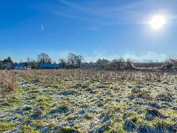 Tonbridge - BBC Weather