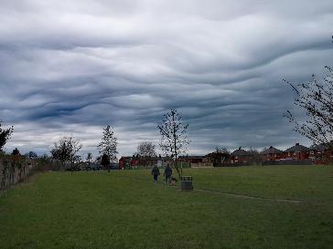 Warrington - BBC Weather