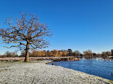 Hayes (Hillingdon) - BBC Weather