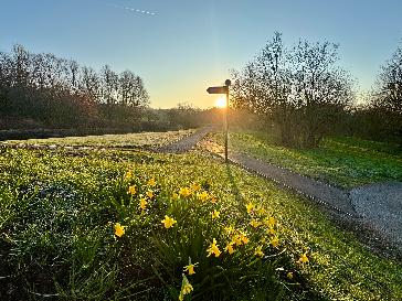 Birmingham - BBC Weather