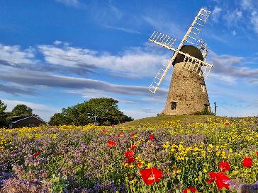 Gateshead - BBC Weather