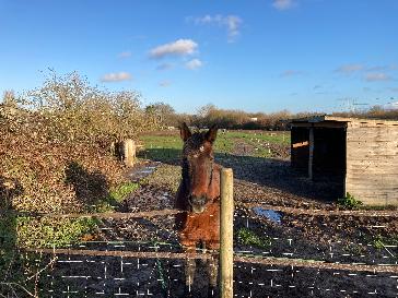 Woking - BBC Weather
