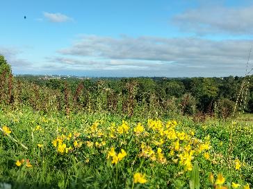 Wolverhampton - BBC Weather