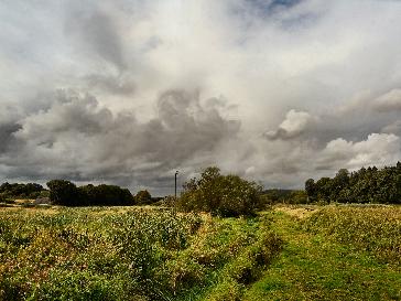 Exeter - BBC Weather