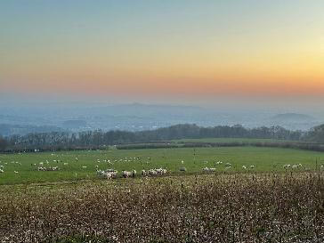 Banwell Castle - BBC Weather