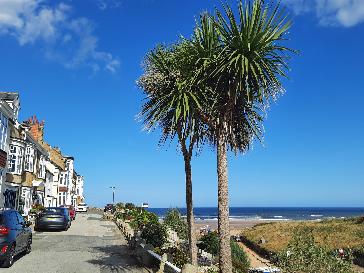 Fishburn - BBC Weather