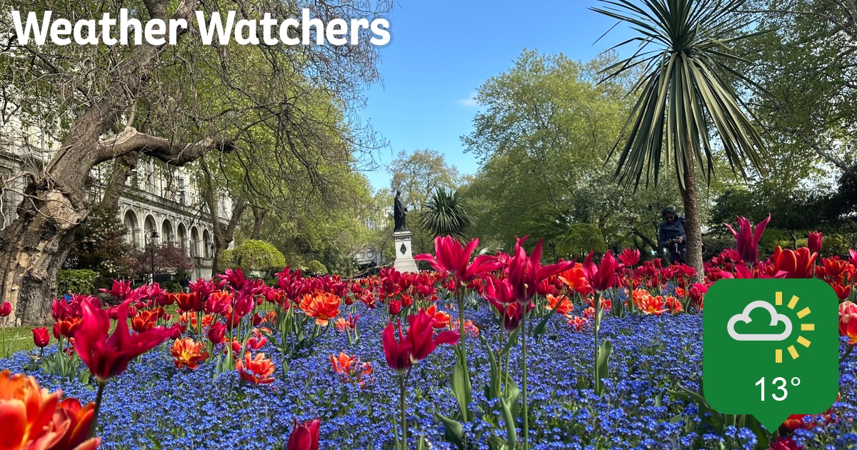 Report - BBC Weather Watchers