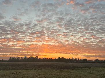 Dorchester - BBC Weather