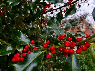 Worcester - BBC Weather