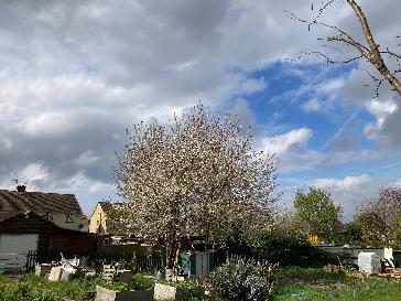 Strood - BBC Weather