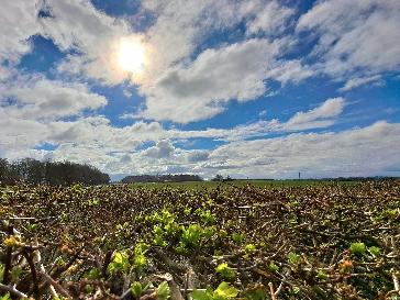Birmingham - BBC Weather