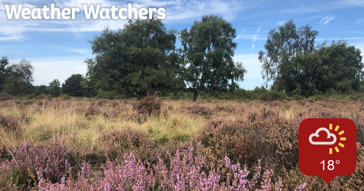 Report - BBC Weather Watchers