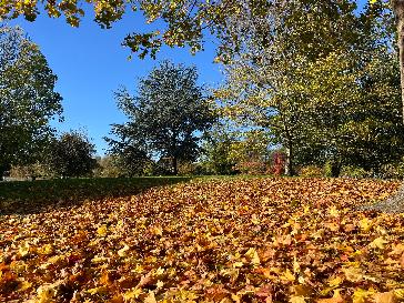 Ilford - BBC Weather